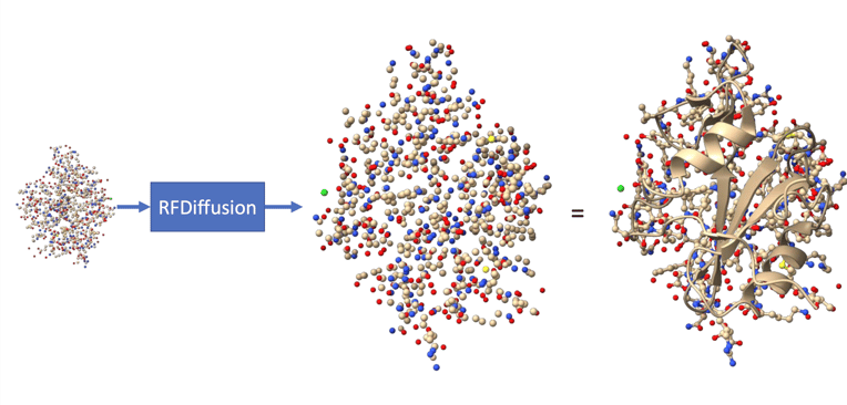 RFDiffusion: Protein Sequences and Structures with DDPMs